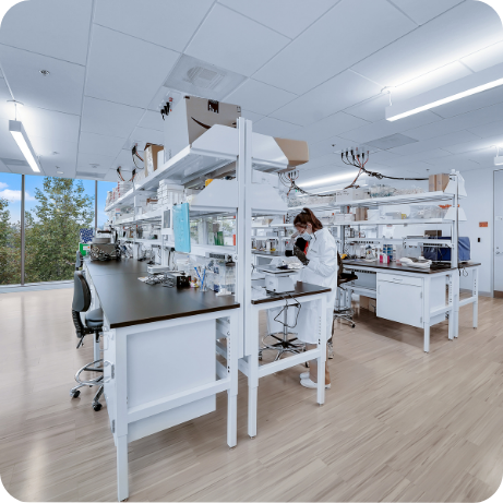 Application Thank You | LP